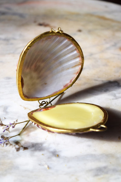 Orange Lip Balm in Shell – Earth Speaks